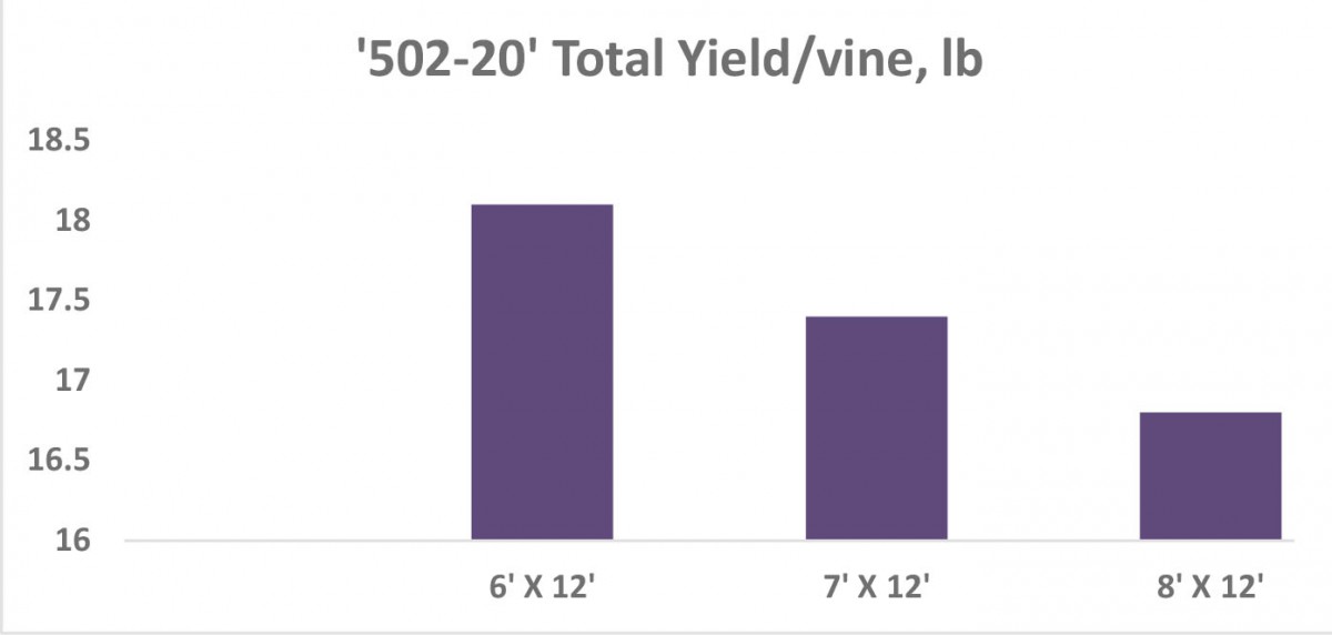 First Commercial Crop of Pierce’s Disease Resistant 94% European Grape ...