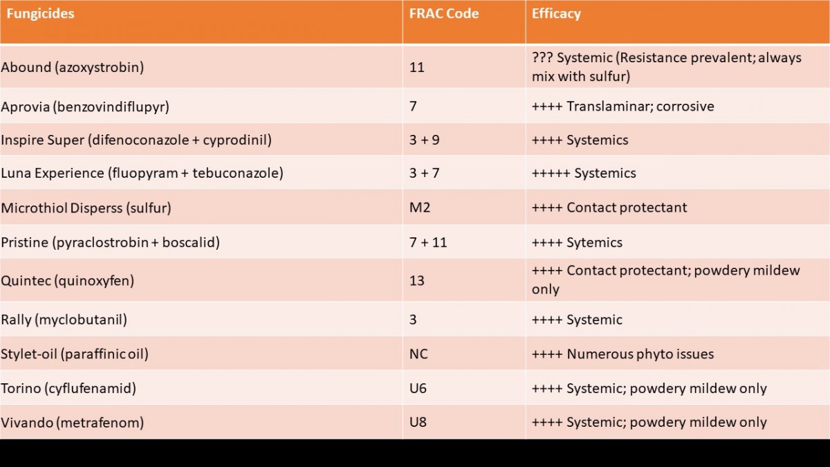 Widespread QoI resistance and emergence of DMI resistance in powdery ...