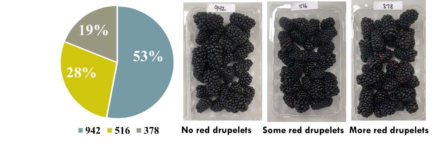 What do Consumers Like about Fresh-market Blackberries? | Southern ...