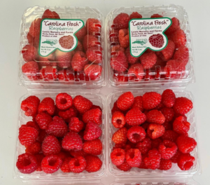 Growing Long-cane Raspberries in the Southeast | Southern Region Small ...