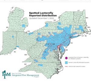 The southward spread of spotted lanternfly | Southern Region Small ...