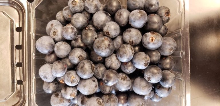 Postharvest Physiology of Small Fruits at Auburn University | Southern ...