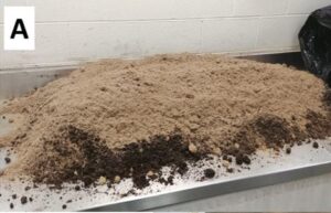 Soil-less Substrates for Greenhouse Strawberry Production | Southern ...