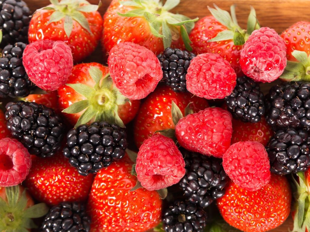 Southern Region Small Fruit Consortium