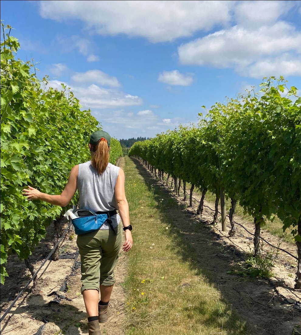 Meet Sarah Lowder: Viticulture Specialist at UGA | Southern Region ...